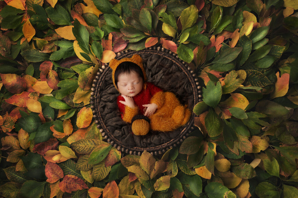 Best fall newborn photography ideas