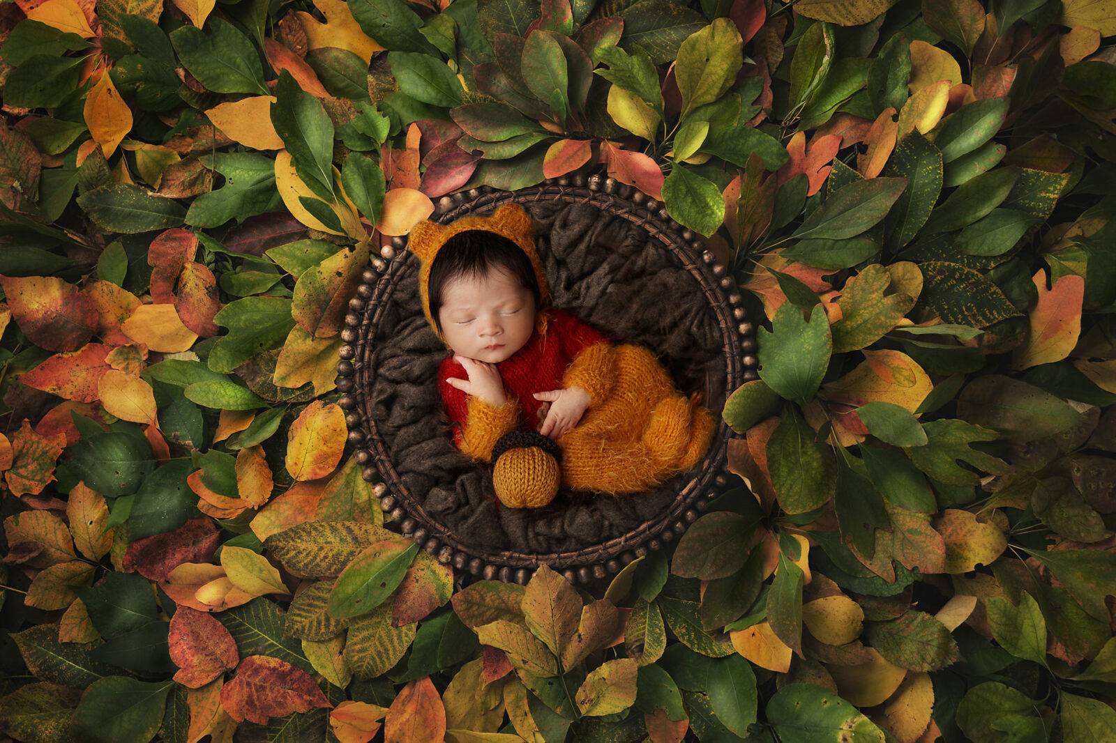 Best fall newborn photography ideas