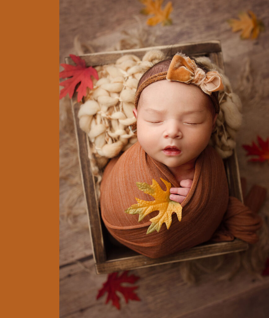 Best fall newborn photography ideas